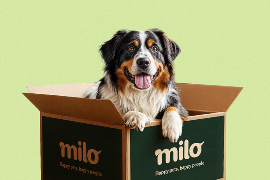 Milo.nl | Online Dierenwinkel | Happy Pets, Happy People